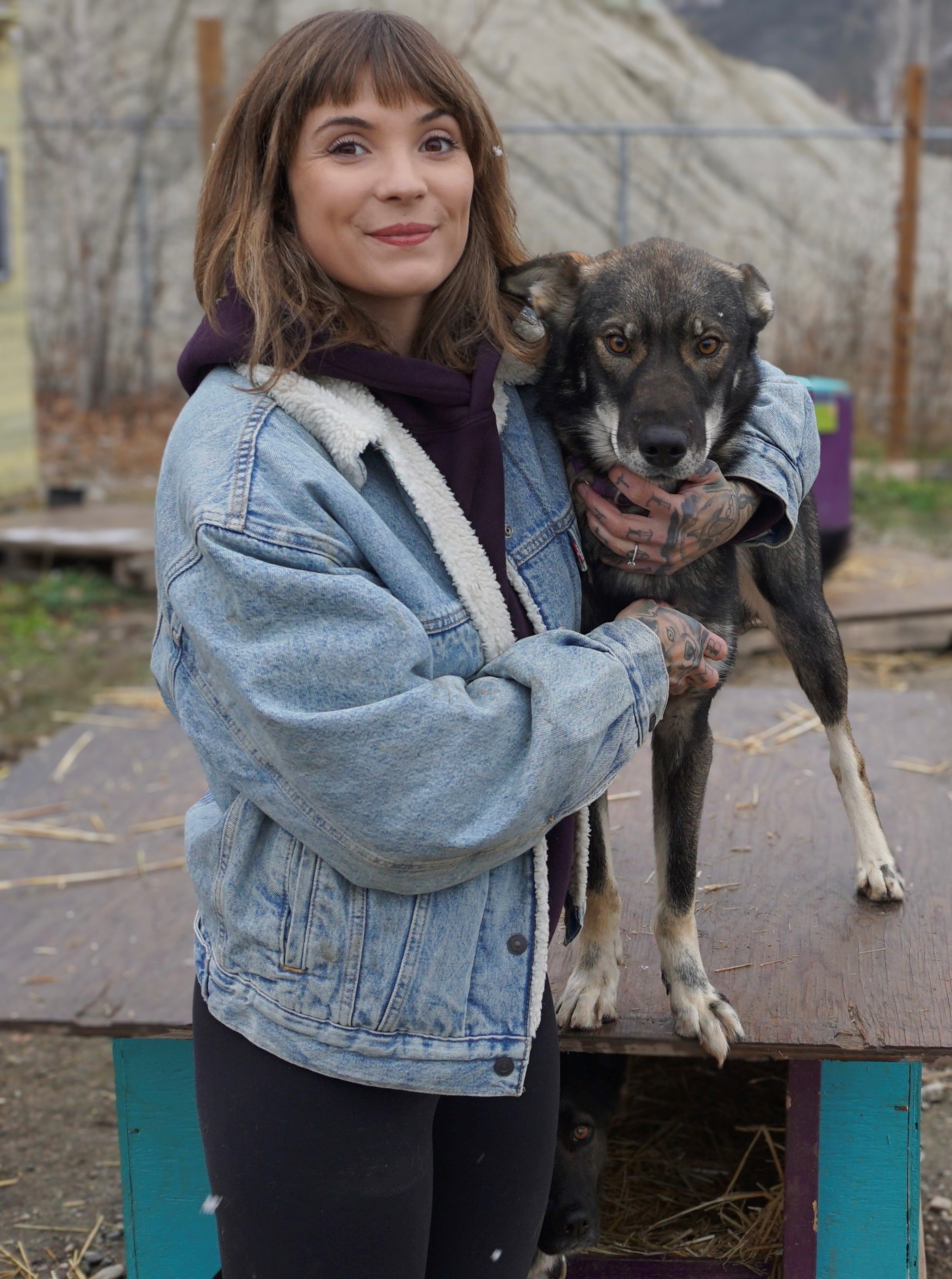 Jill Johnson - Yukon Quest